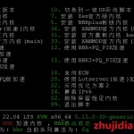 VPS加速？安装BBR/使用BBR加速/TCP加速/BBR+FQ/BBR+CAKE - 主机点评